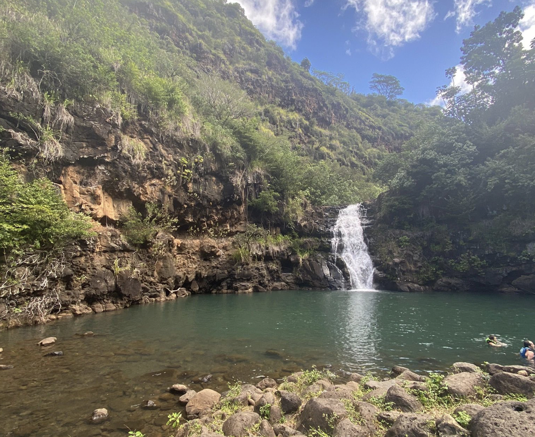 Take A Paved Trail Around Hawaii’s Waimea Valley For A Peaceful Adventure