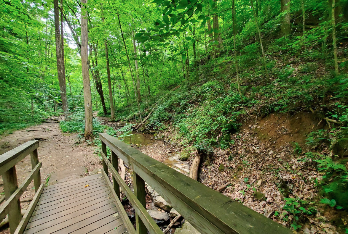 Enjoy An Easy Nature Hike At Hemlock Cliffs Trail In Indiana