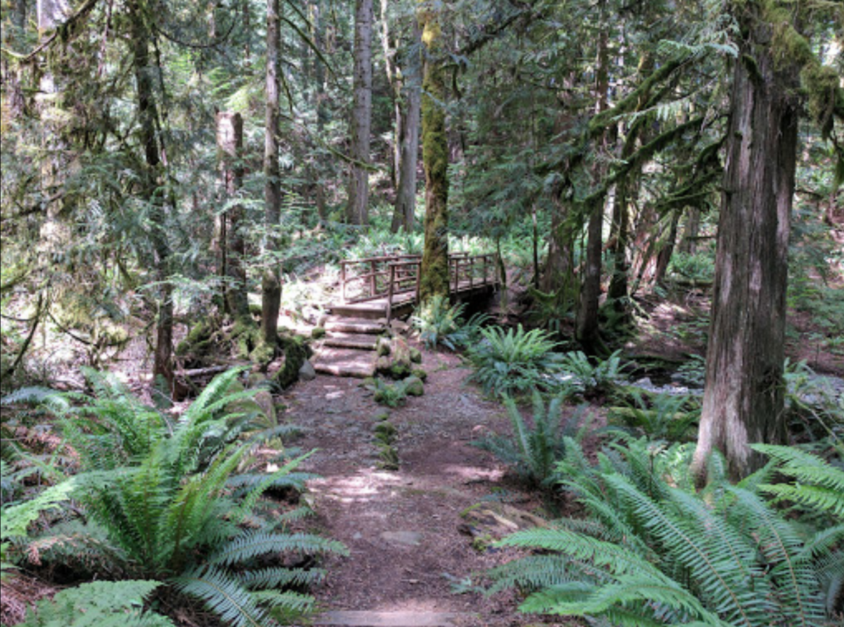 Washington's Dosewallips State Park Is Worthy Of An Adventure