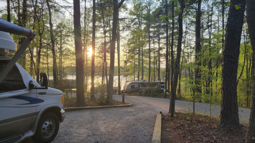 Campgrounds In Virginia: 30+ Top-Rated Sites & Local Favorites