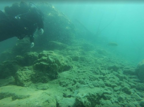 White Star Quarry Beach: Best Swimming Quarry Near Cleveland