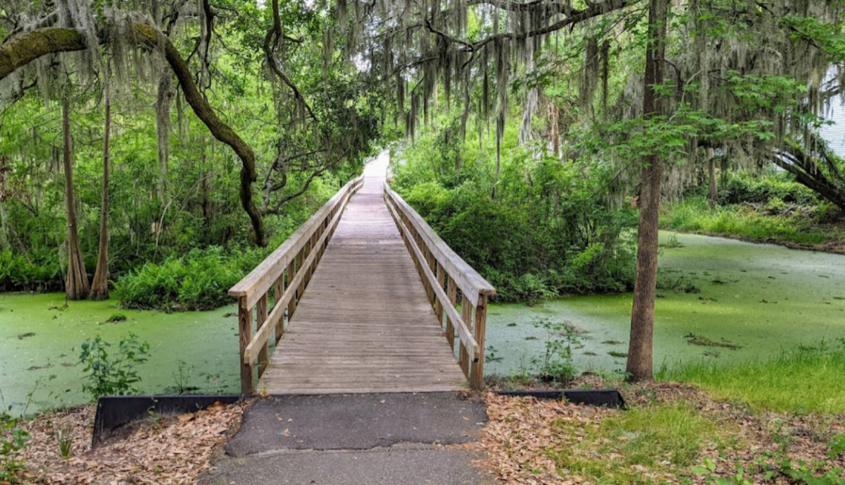 Cypress Wetlands Boardwalk Trail In South Carolina Is Beautiful