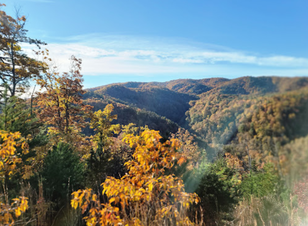 The Largest State Park In North Carolina Is Worth An Adventure