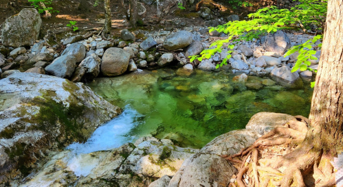 This Emerald Pool In New Hampshire Is Devastatingly Gorgeous