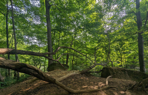 Best Easy Hikes In Every State: 50 Top-Rated Trails Across the US