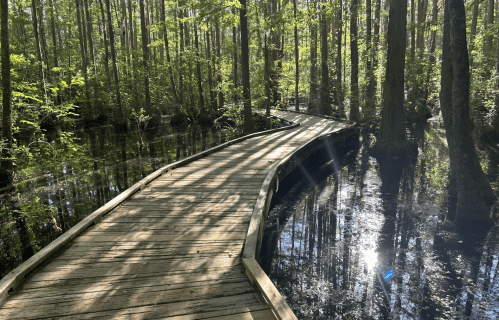 Best Easy Hikes In Every State: 50 Top-Rated Trails Across the US