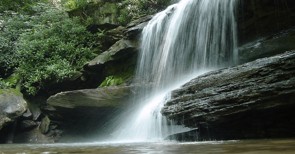 Outdoor Adventures: 7 Best Spring Hikes In Pittsburgh