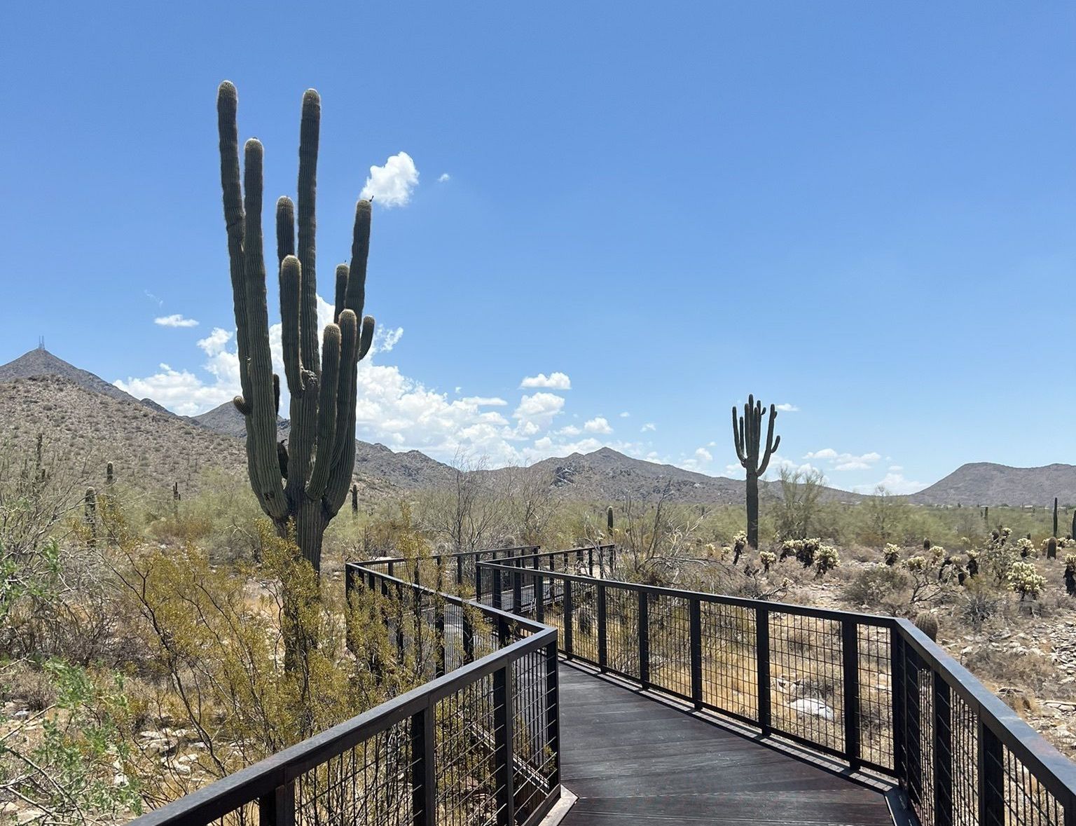Take A Boardwalk Trail Through The Mountains Of The McDowell Sonoran ...