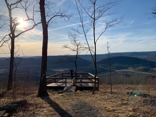 Green Ridge State Forest In Maryland Has Trails, Overlooks, And More