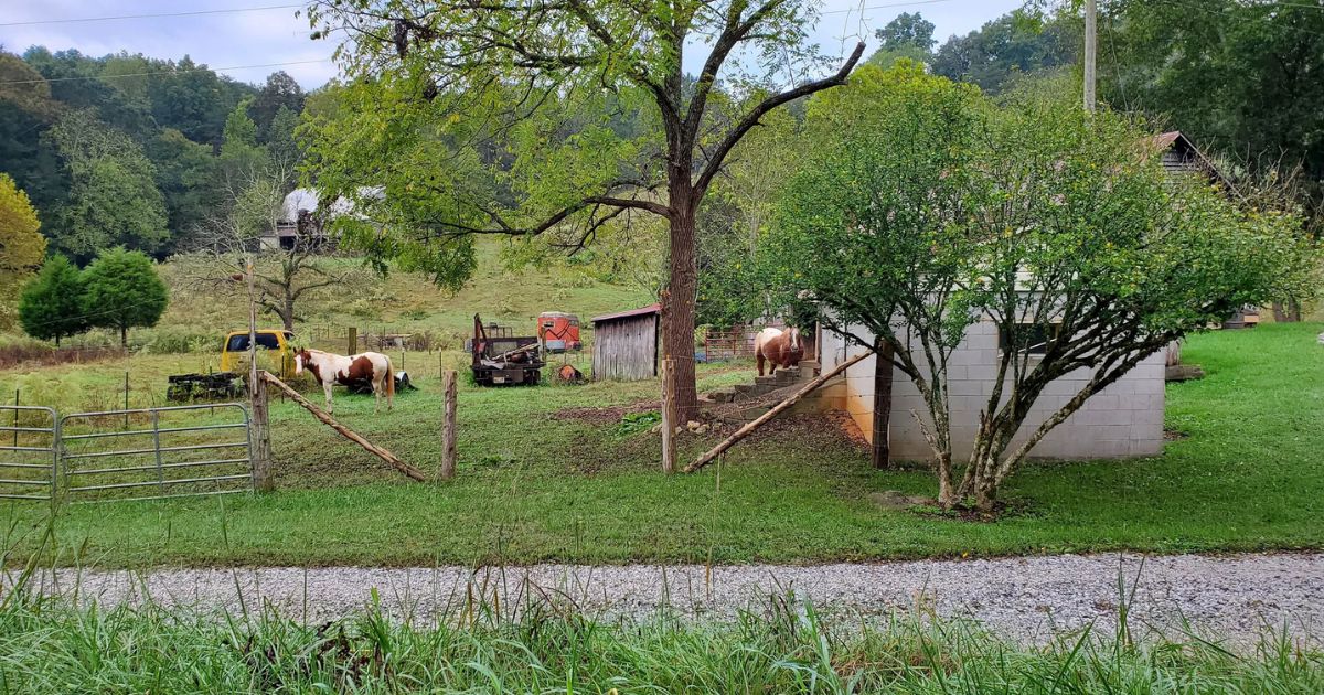 Historic Rail Trail in Tennessee Worth Exploring