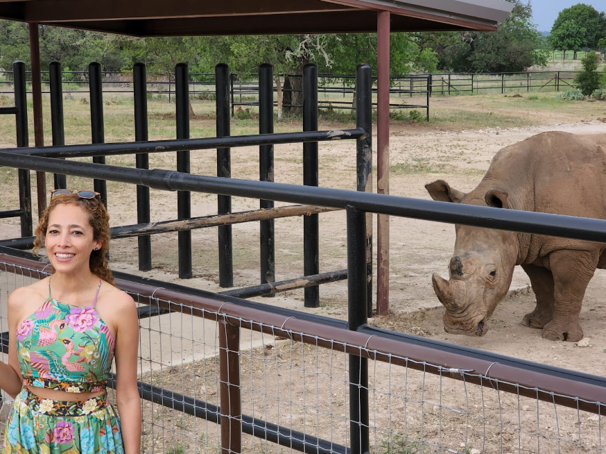 Unique Animal Encounters In Texas: The Rhinory