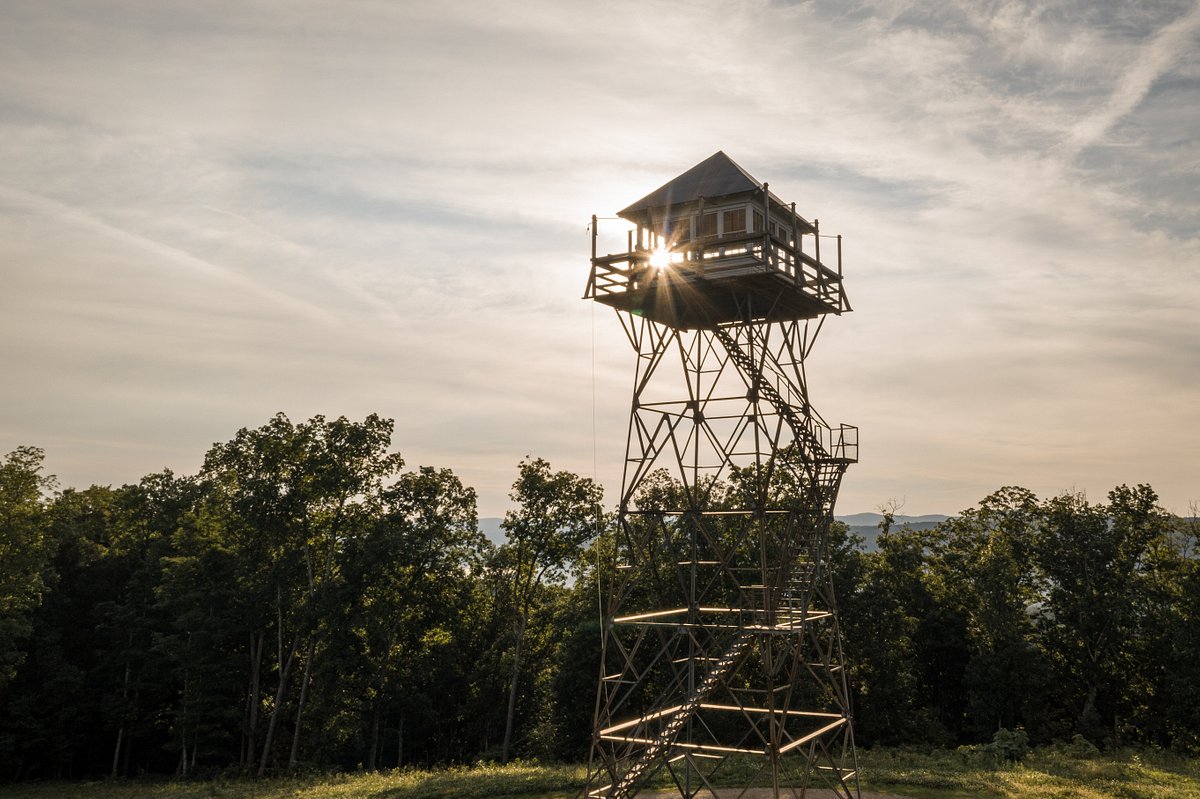 Seneca Forest Is The Oldest And Largest State Forest In West Virginia