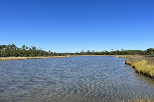Old Bridge Beach in Mississippi: Home to Some of the Whitest Sand in ...