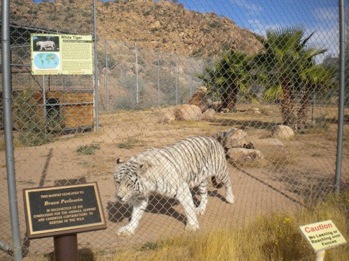 Road Trip To The Best Rural Places To Visit In Arizona