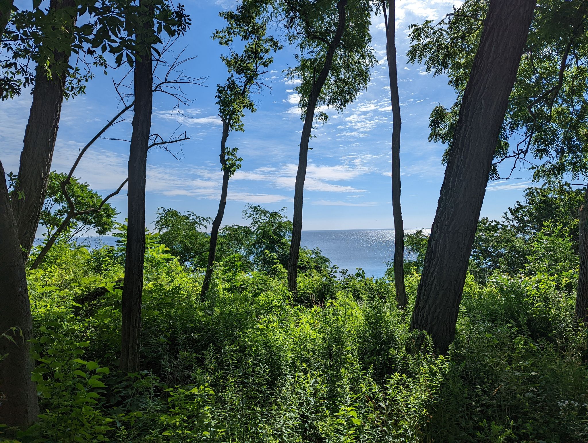 With Bridges And Stairways, The Scenic Seven Bridges Trail In Wisconsin ...