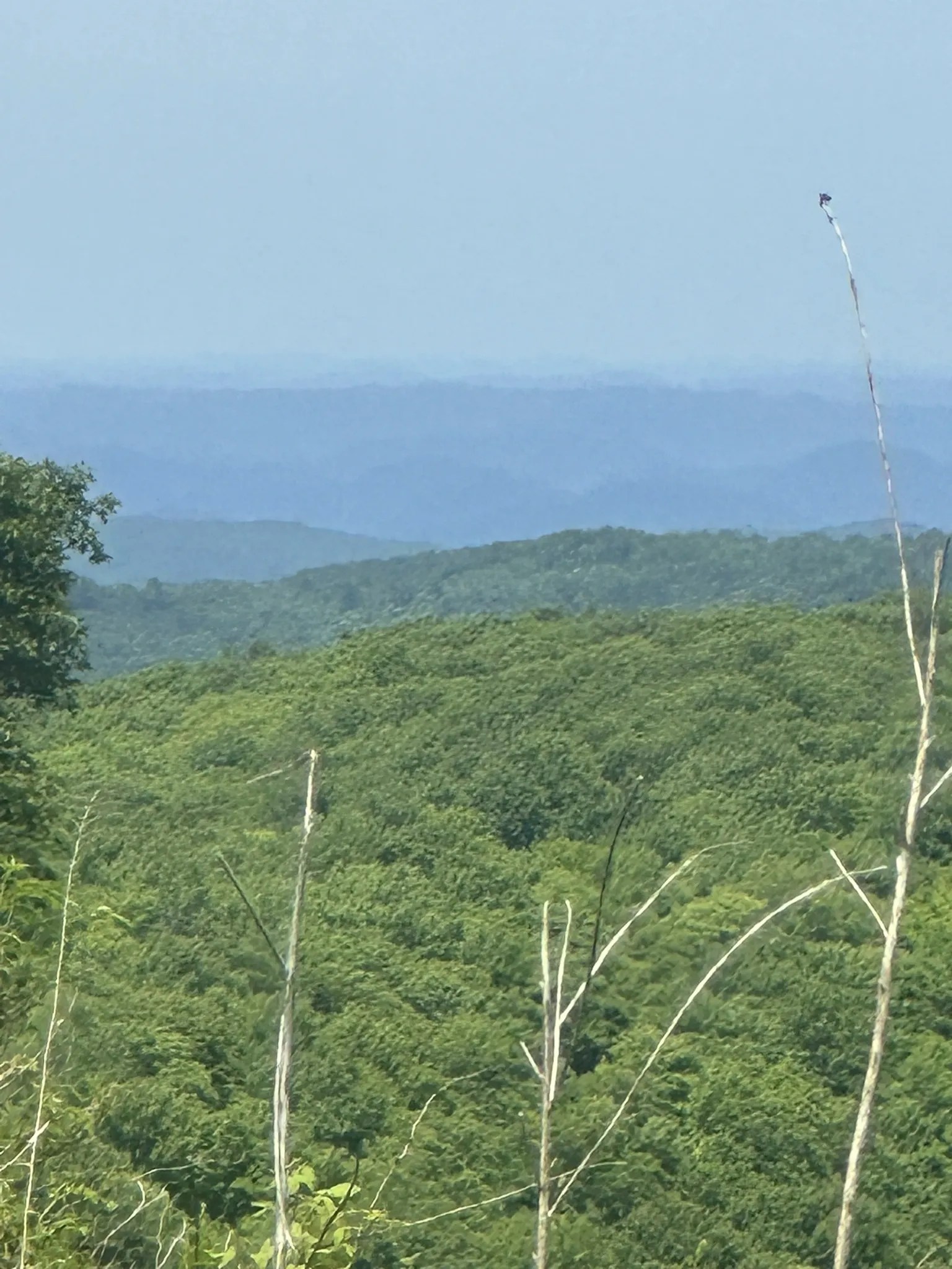 Kentucky Highest Point