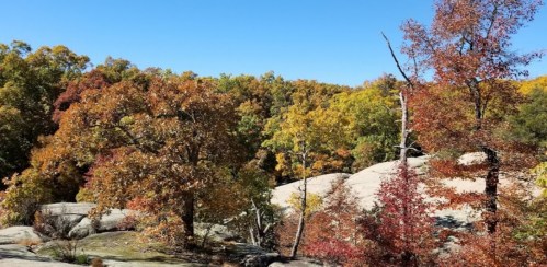 The Fall Foliage At These 7 State Parks In Missouri Is Enchanting