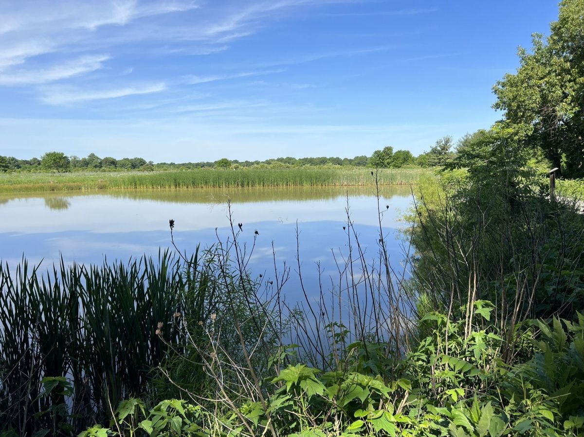Visit The Prettiest Scenery In Illinois On The Wetland Loop Trail
