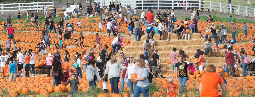 The Best Fall Festivals In Southern CA Include Cal Poly Pomona's!