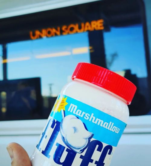 What The Fluff?: The Best Fall Festival In Massachusetts