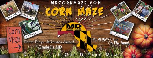 You Must Visit The Maryland Corn Maze This Fall