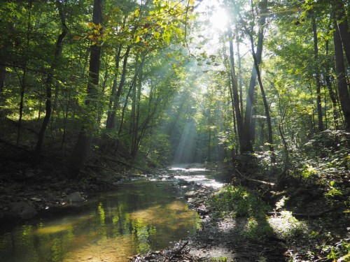 Floracliff Nature Sanctuary Has The Best Fall Foliage In Kentucky