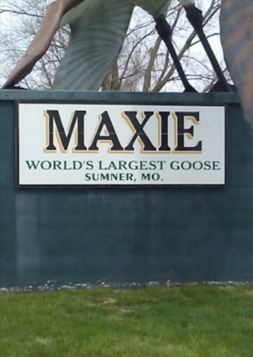 The World’s Largest Goose Is Right Here In Missouri