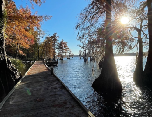Lake Bruin Is The Smallest State Park In Louisiana