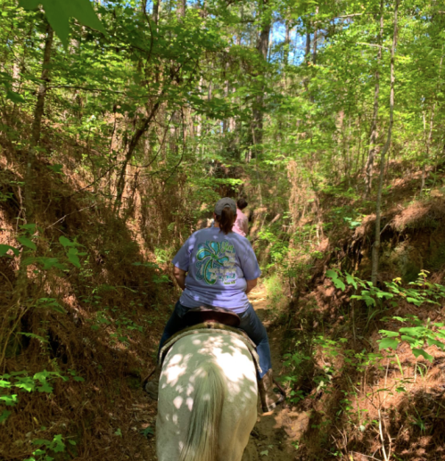 Tim’s Canyon Trail Is a Beautiful Hiking Trail in Louisiana