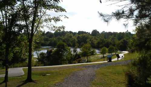 Blackwater Conservation Area Is A Hidden Gem In Louisiana