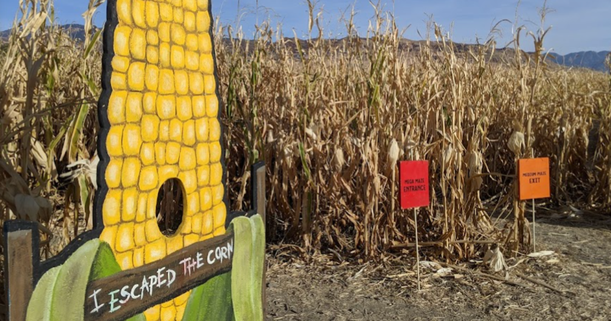 Cross E Ranch : Enjoy A Fun Fall Festival In Utah