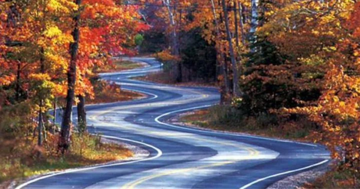 The Most Beautiful Fall Drive In Wisconsin Just Might Make You Dizzy