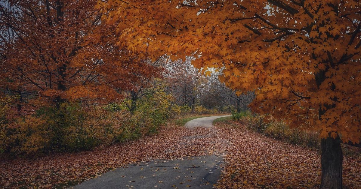 Explore Holy Hill: Wisconsin's Scenic Fall Foliage Gem