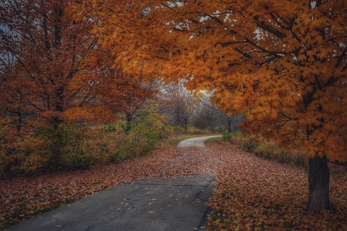Explore Holy Hill: Wisconsin's Scenic Fall Foliage Gem