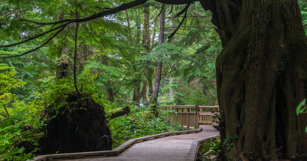 Explore Oregon’s Stunning Coastline via Rockaway Beach’s Boardwalk Trail
