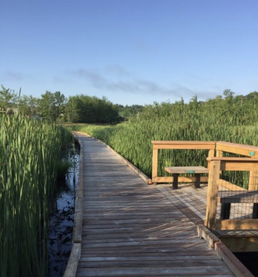 Take A Wetlands Boardwalk Trail At This New Hampshire Park