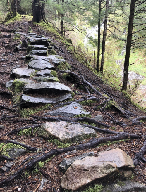 This Fairy Tale Trail In Alaska Brings You By Beautiful Old-Growth