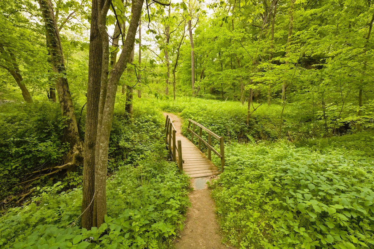 31 Epic Hiking Spots You’ll Only Find In Iowa