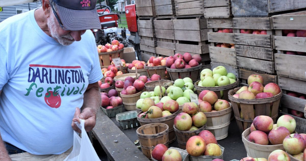 Best Fall Festivals In Maryland 2024: Darlington Apple Festival