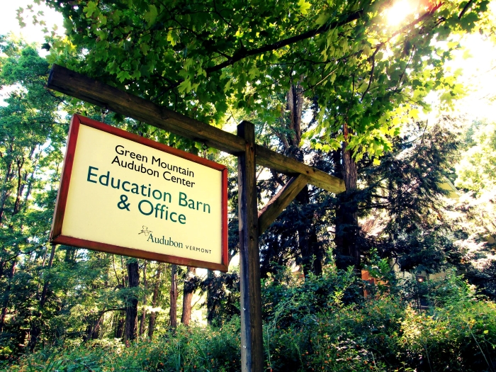 The Whole Family Will Love These Vermont Nature Centers