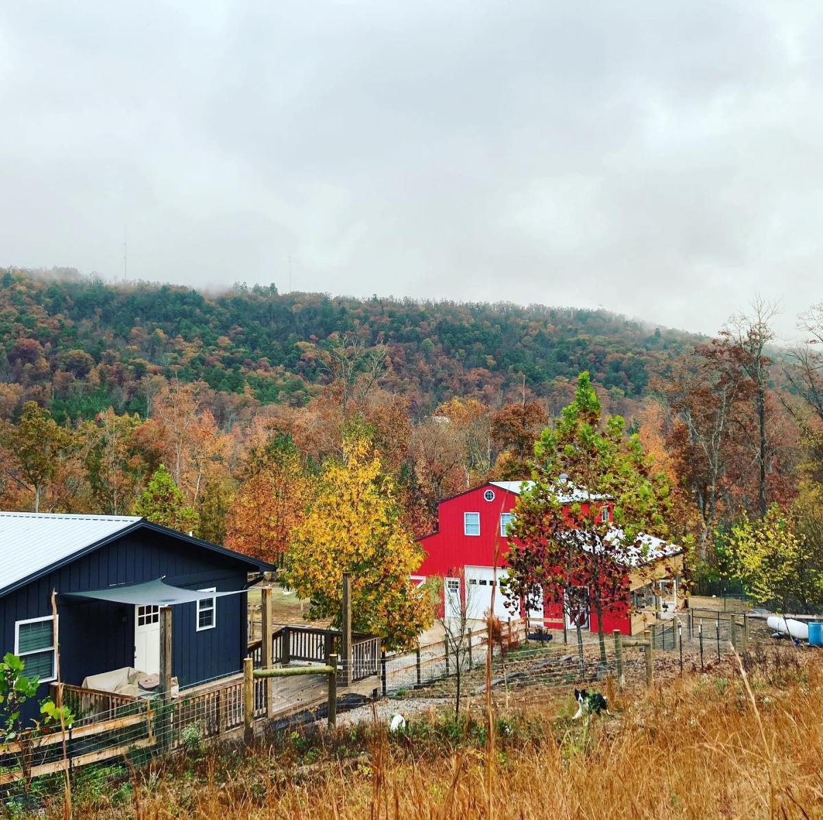 This Charming Little Farm In Arkansas Is Secluded and Peaceful