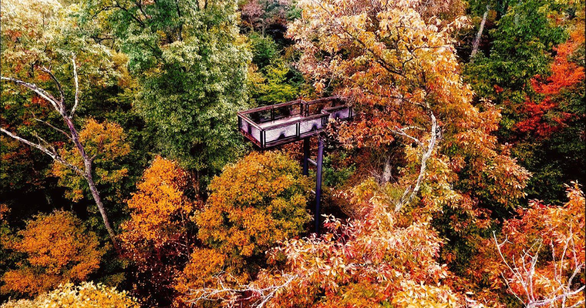 8 Day Trips In Kentucky: Take This Fall