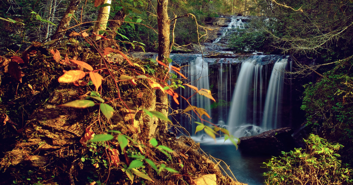 Best Places to Experience Fall Colors in South Carolina