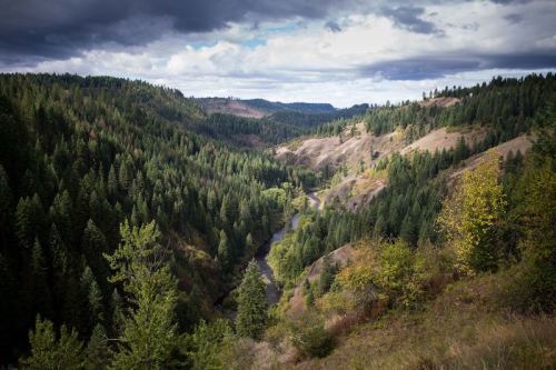Kamiah, Idaho: A Charming Small Town In Idaho