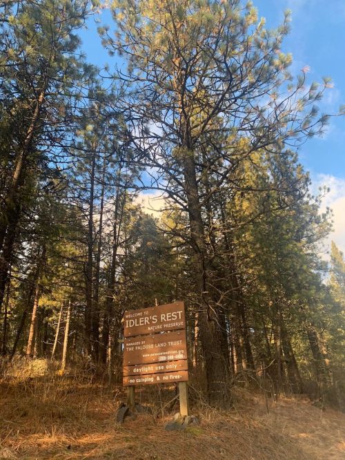 Idler's Rest Nature Preserve: A Fairy Tale Trail In Idaho