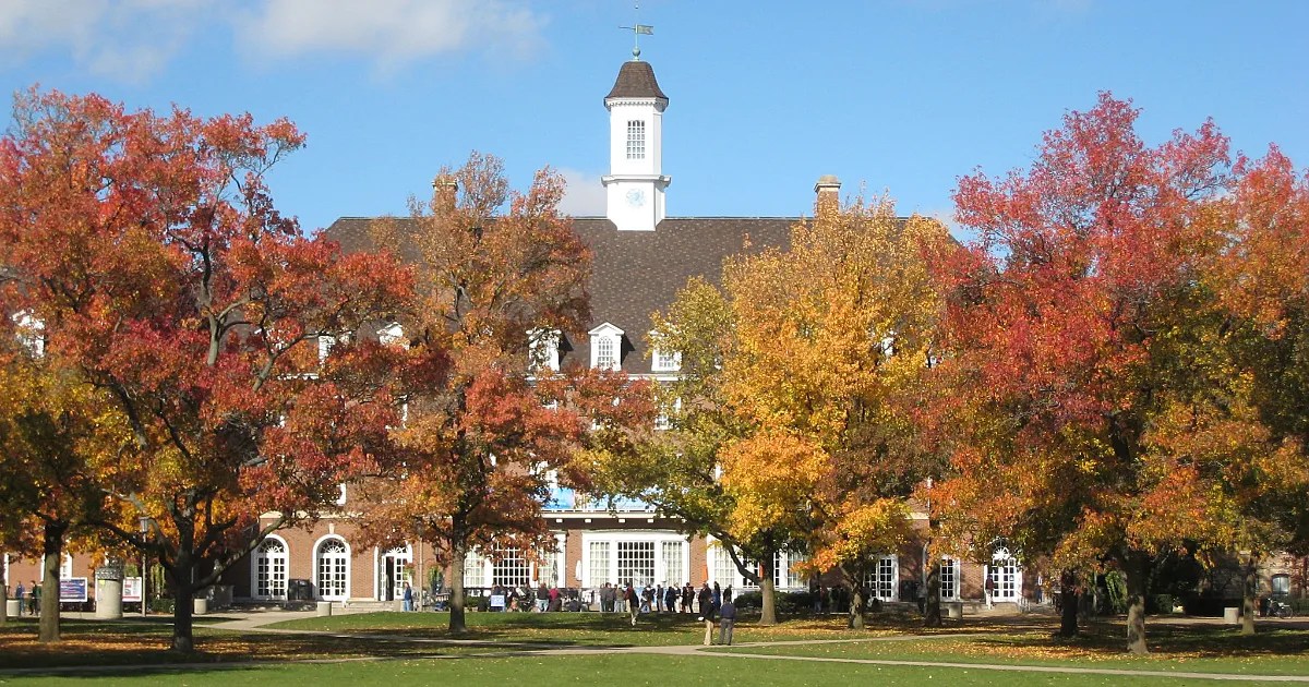 These Are The Best Places To Visit In The Fall In Illinois