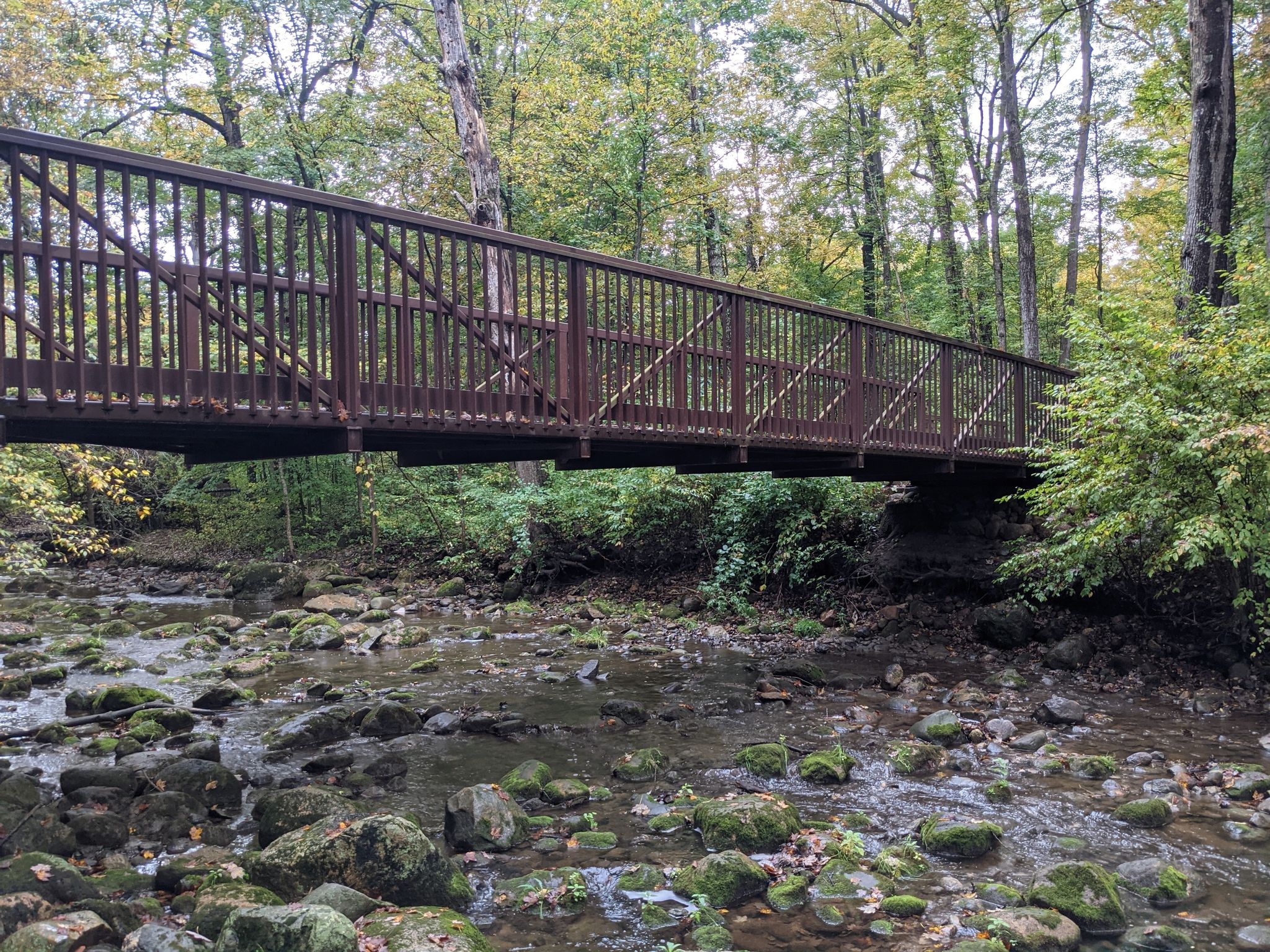 Explore A Lakeside Forest And Cross Babbling Brooks On This Fairytale ...