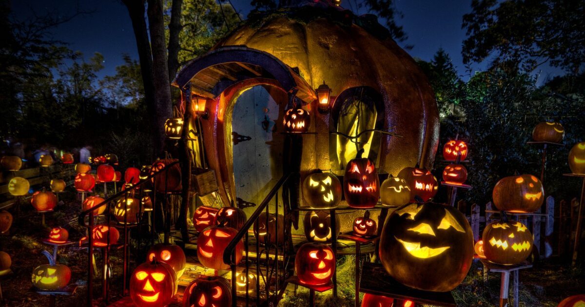 Walk Through 5,000 Minnesota Zoo Pumpkins This Fall