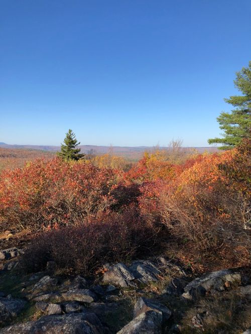 State Parks With Spectacular Fall Foliage In Massachusetts