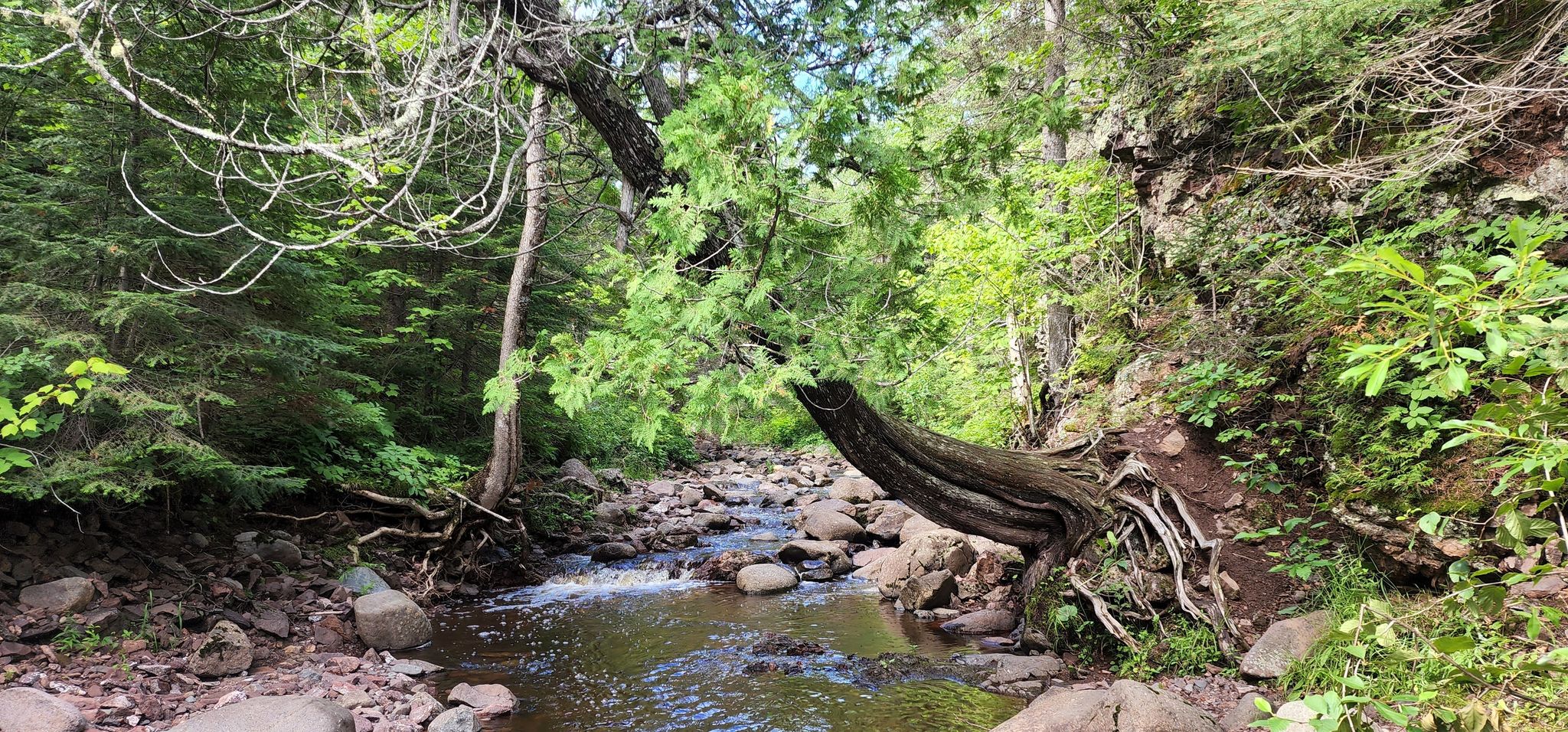 An Easy But Gorgeous Hike, Onion River Trail Leads To A Little-Known ...